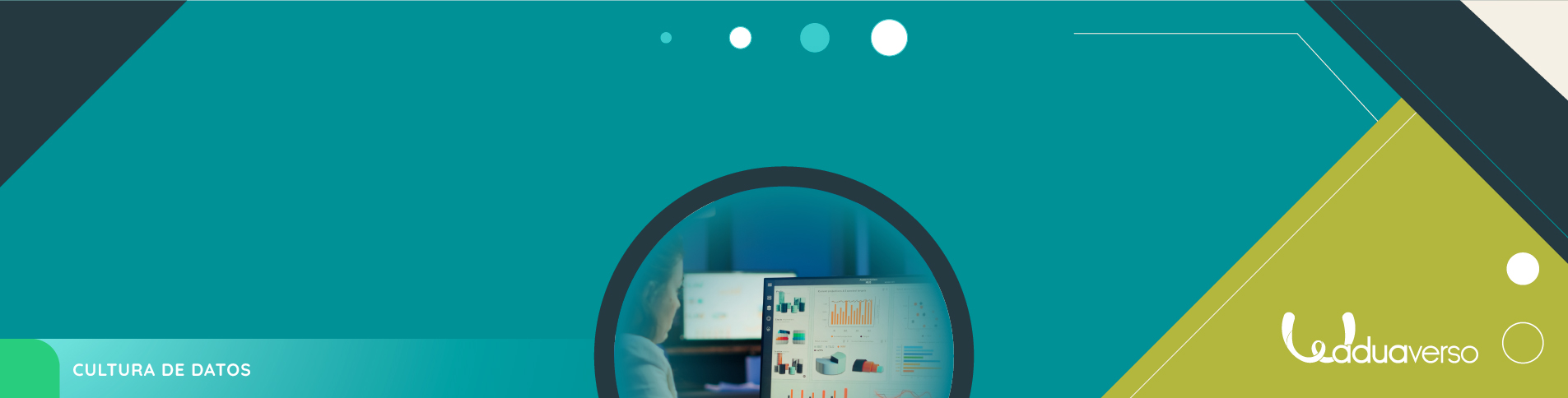 Habilidades para ser un Analista de Datos | Blog Wadua